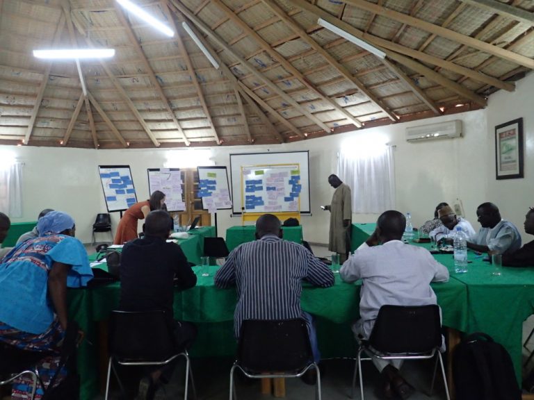 Creation of a partnership between the SAED and Northern regional ...